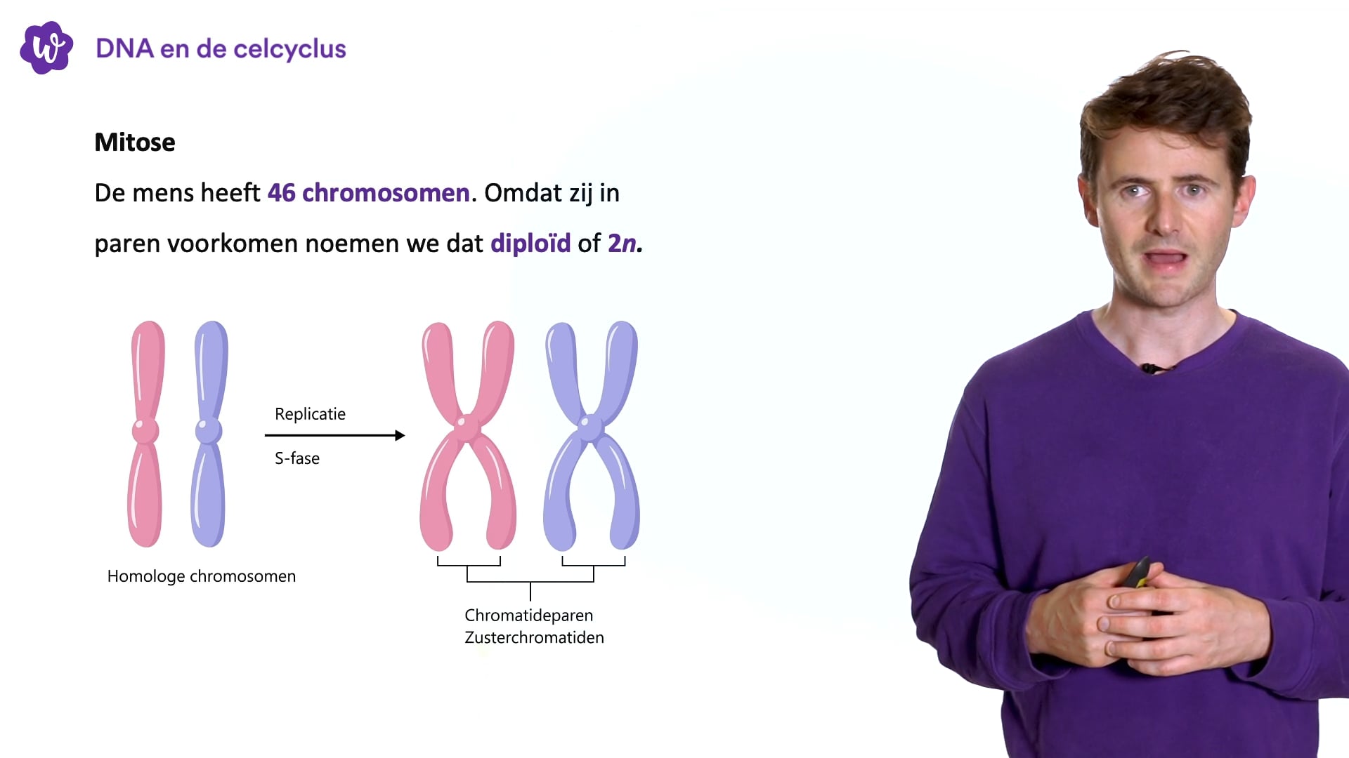 DNA en de celcyclus oefenen | StudyGo