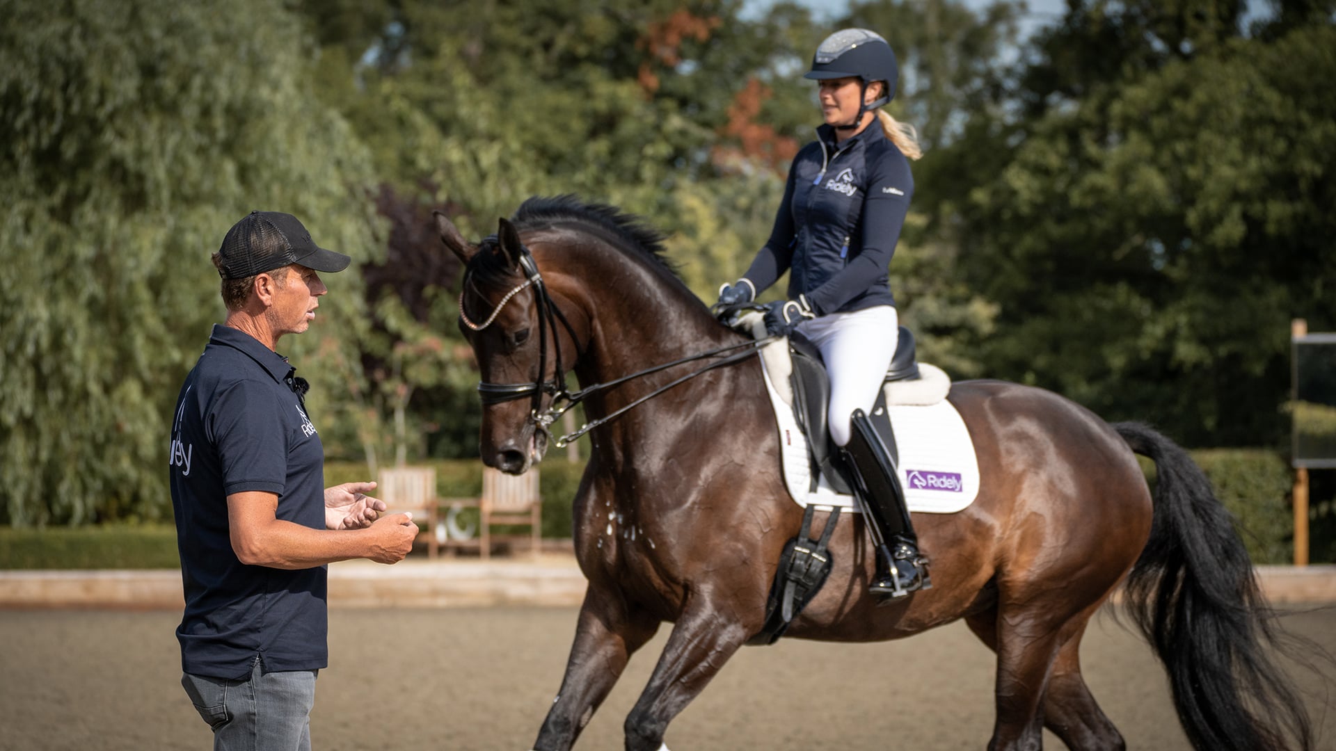 Exercises for Horses that Anticipate the Flying Change | Ridely
