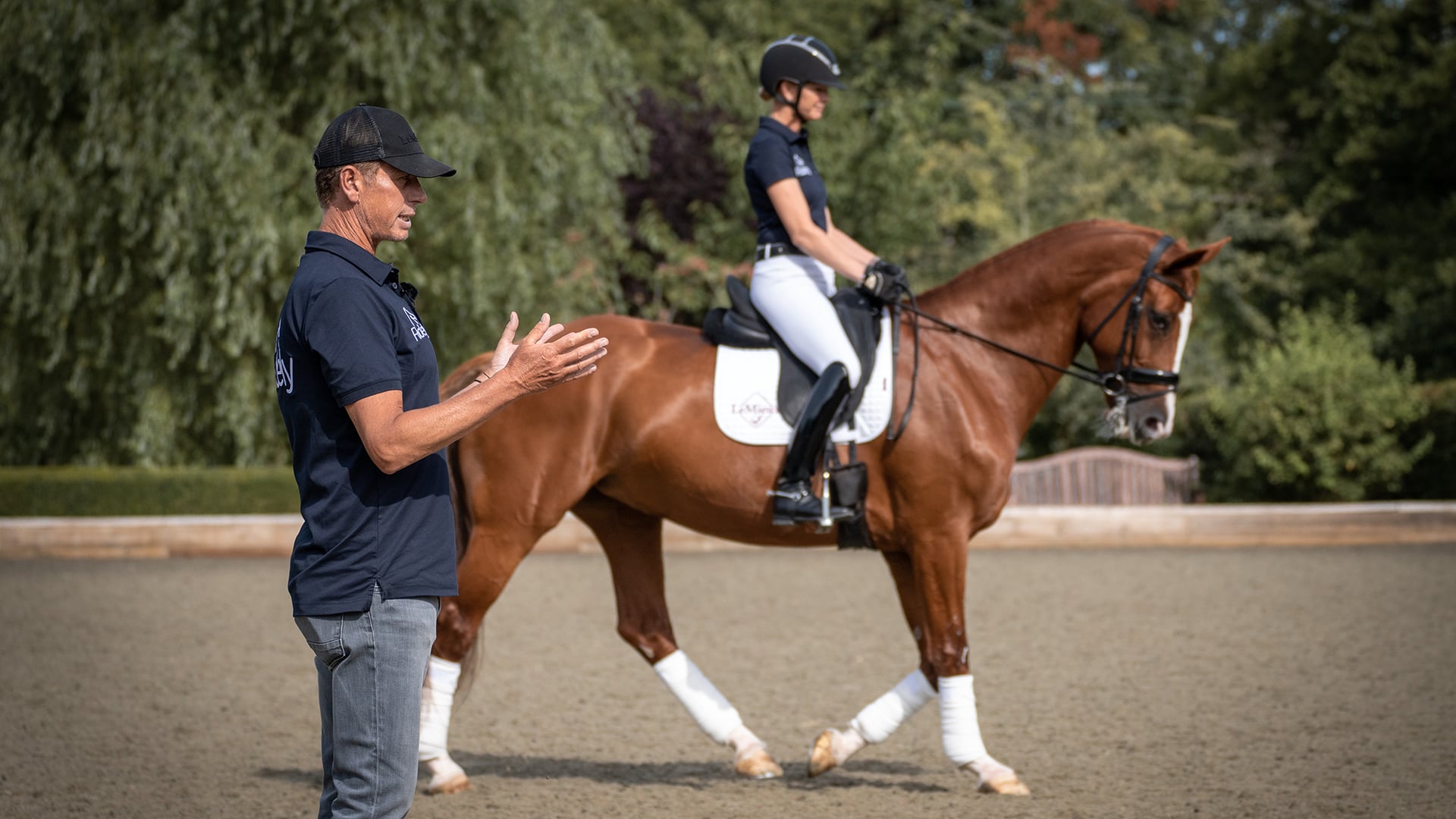 Improving Lateral Work | Ridely
