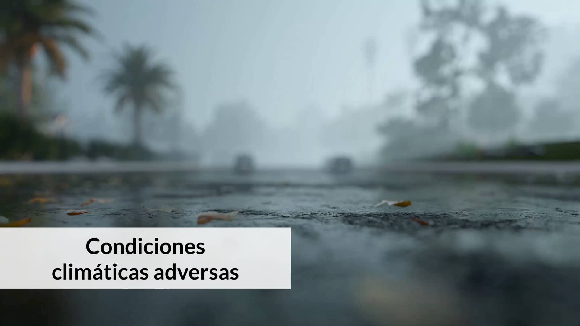 Condiciones climáticas adversas on Vimeo