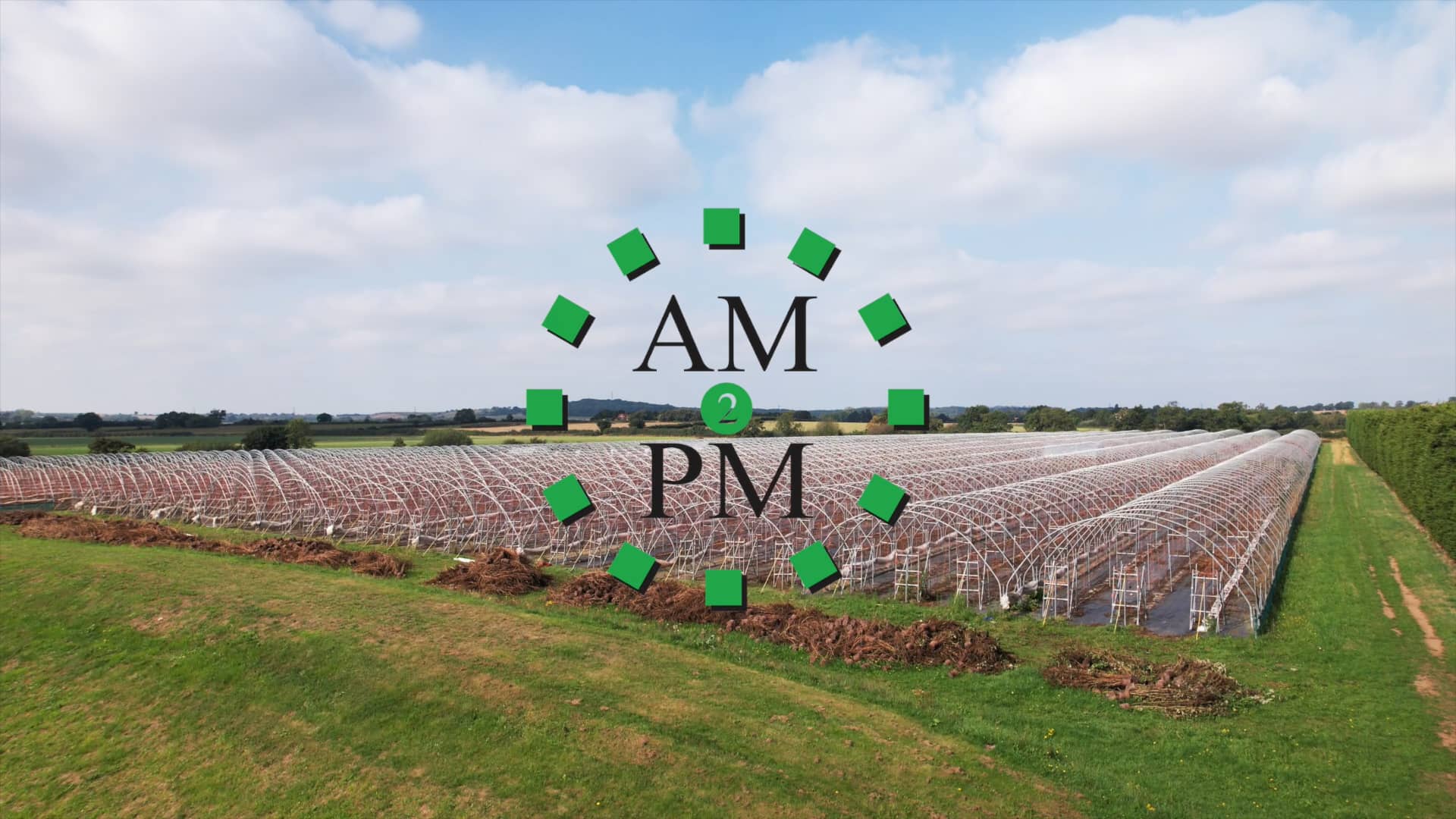 AM2PM & Angus Soft Fruits on Vimeo