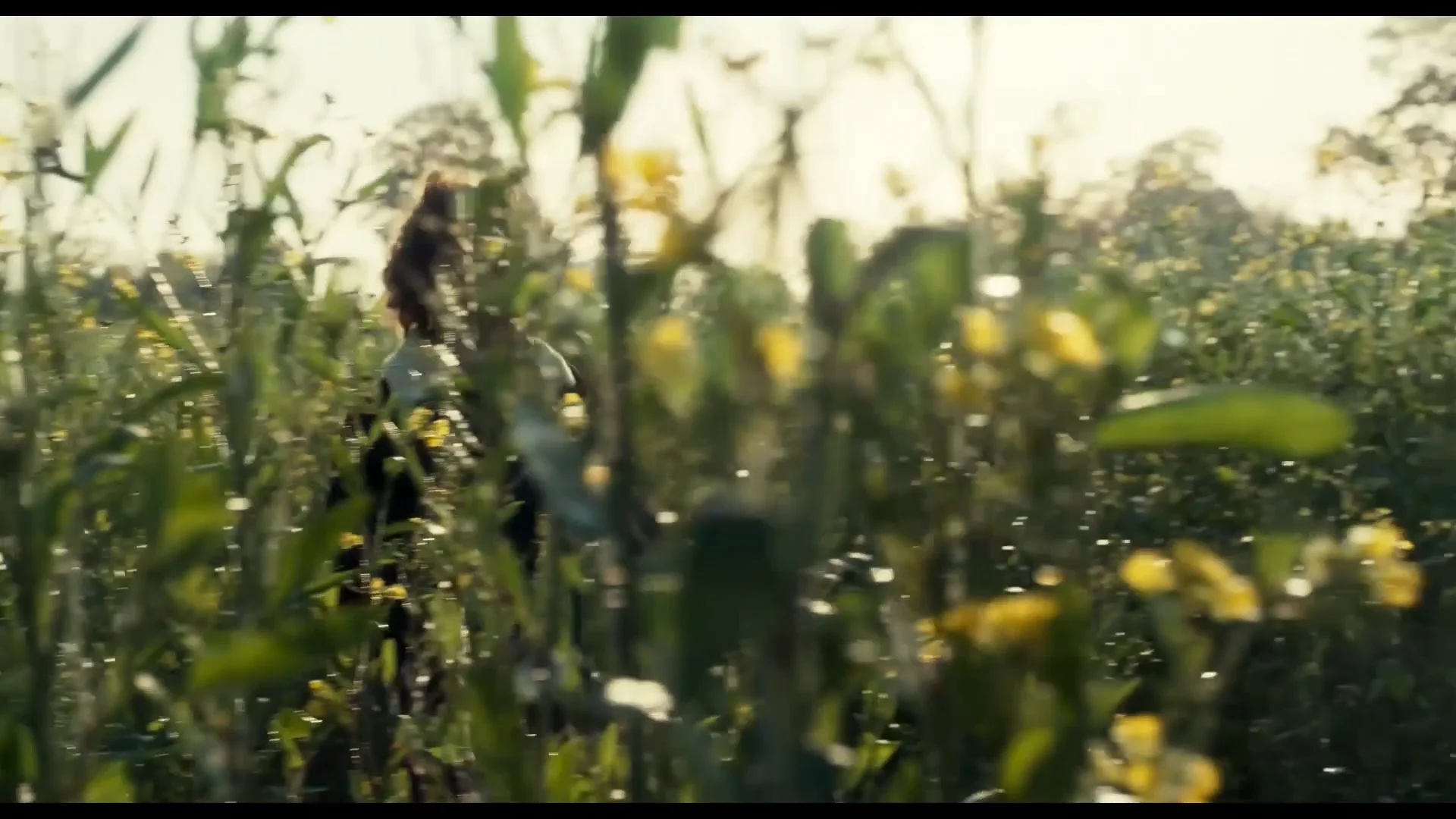 Watch Mémé Online | Vimeo On Demand on Vimeo