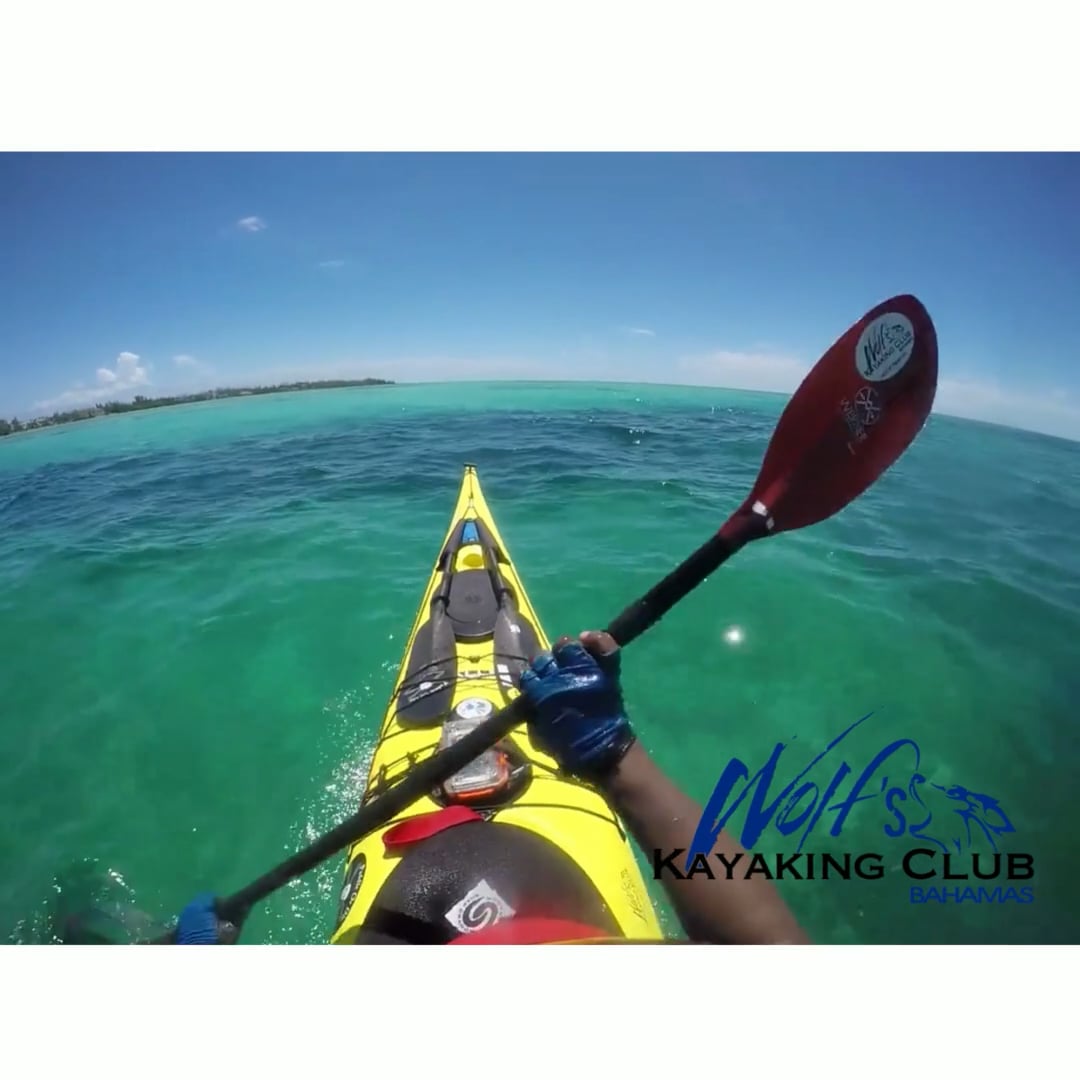 Sea Kayaking with Wolf Kayaking Bahamas Adventures. on Vimeo