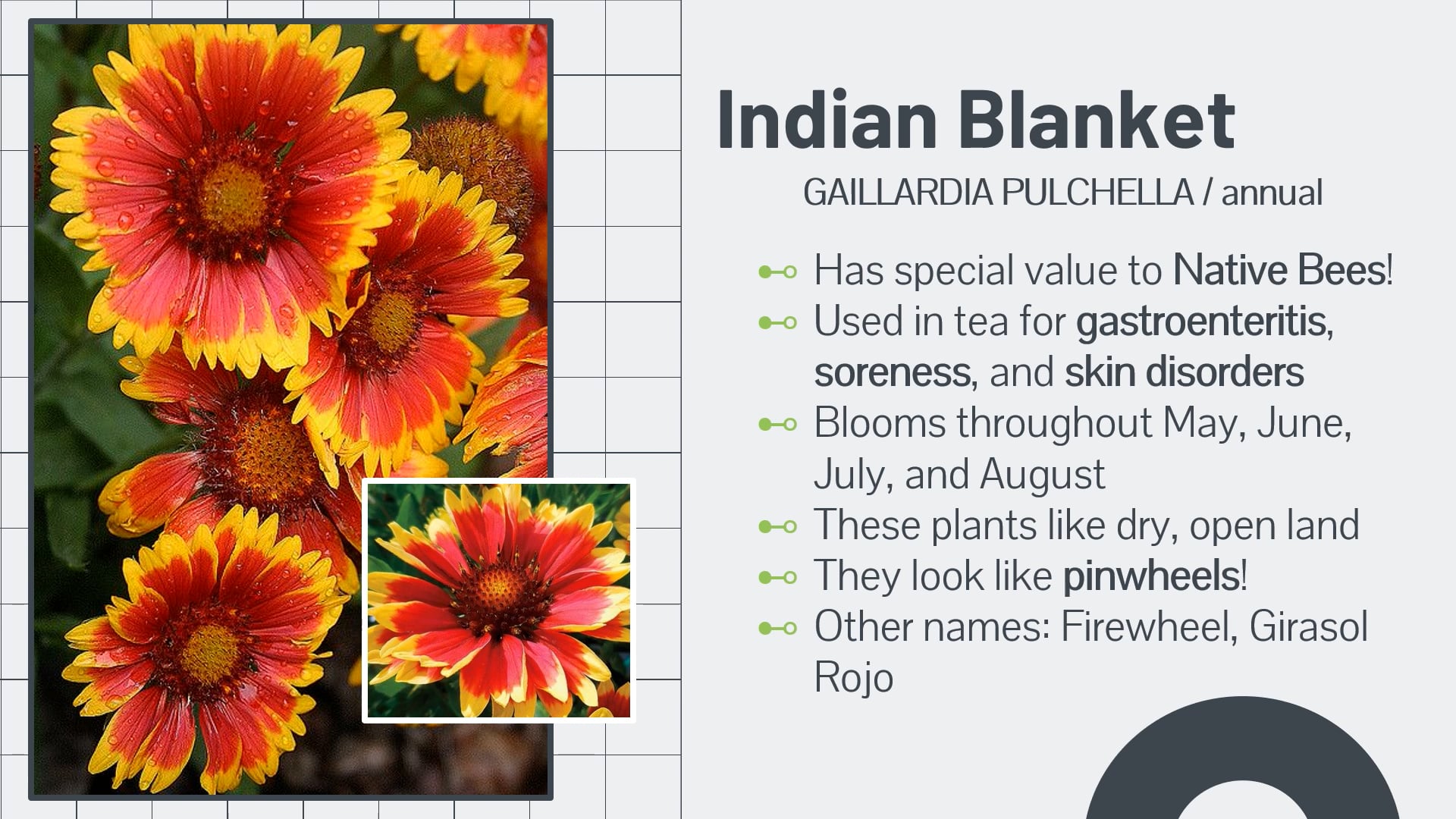 6inchx8inch Texas Prarie Garden spring video on Vimeo