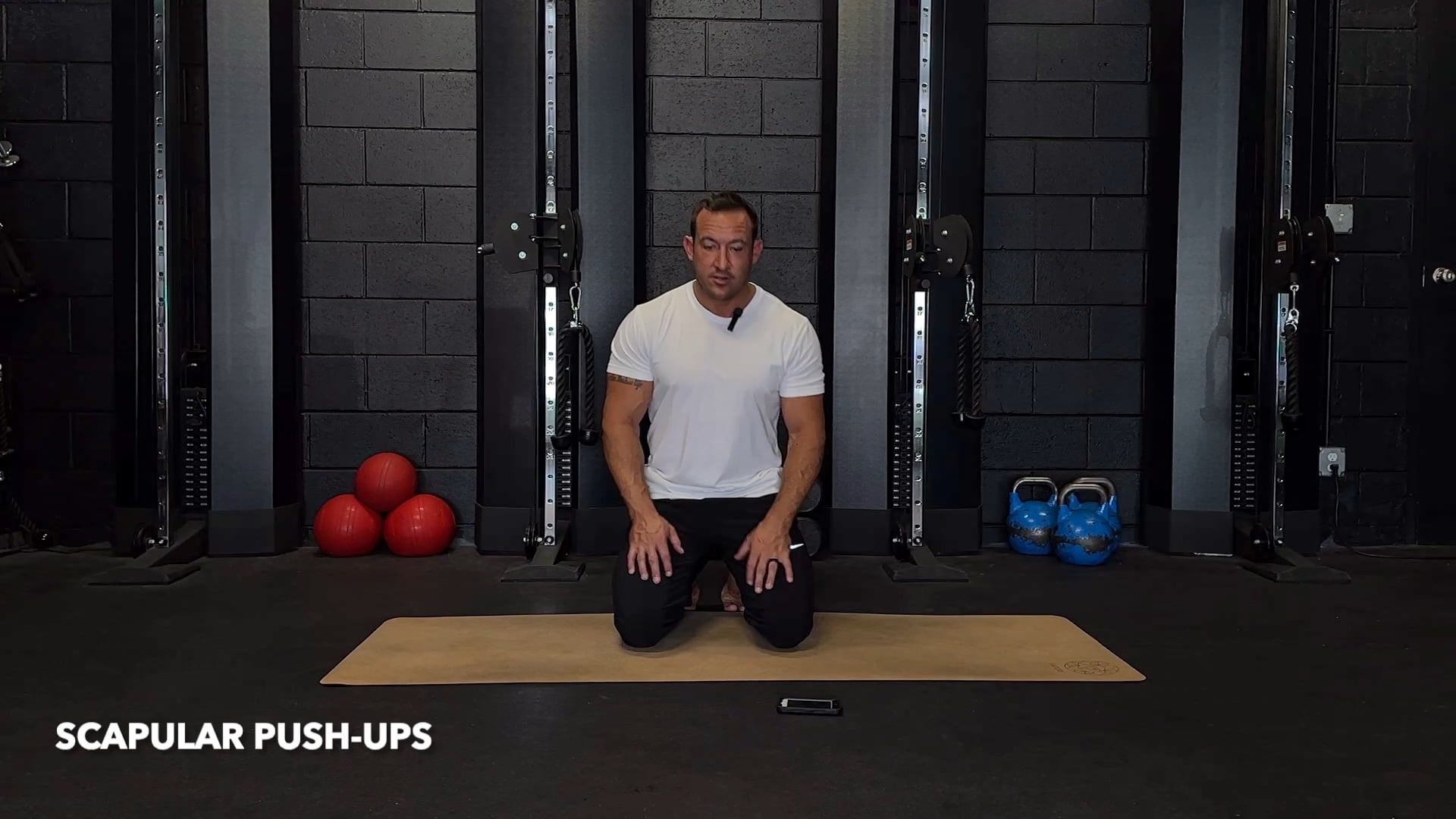 Scapular Push-ups (Long) .mp4 on Vimeo