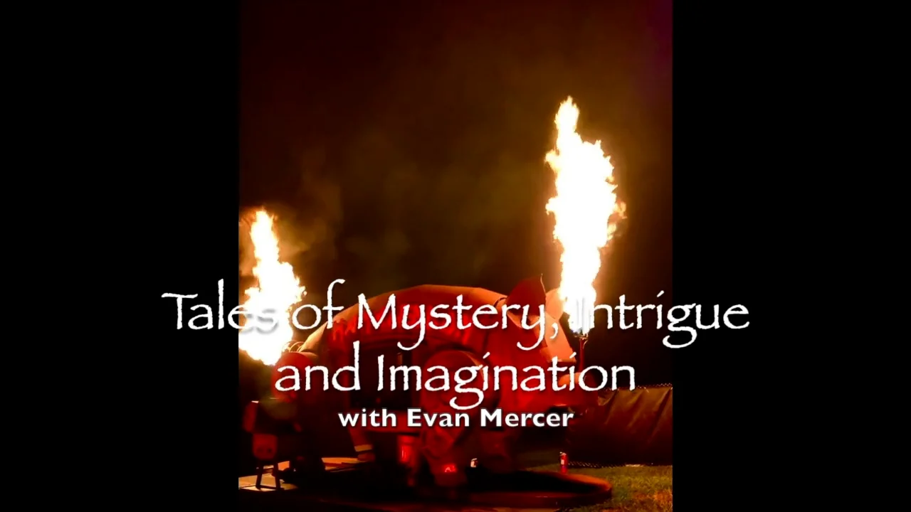 arson_plus_by_dashiell_hammet_(narrrated_by_evan_mercer) (720p) (1).mp4 ...