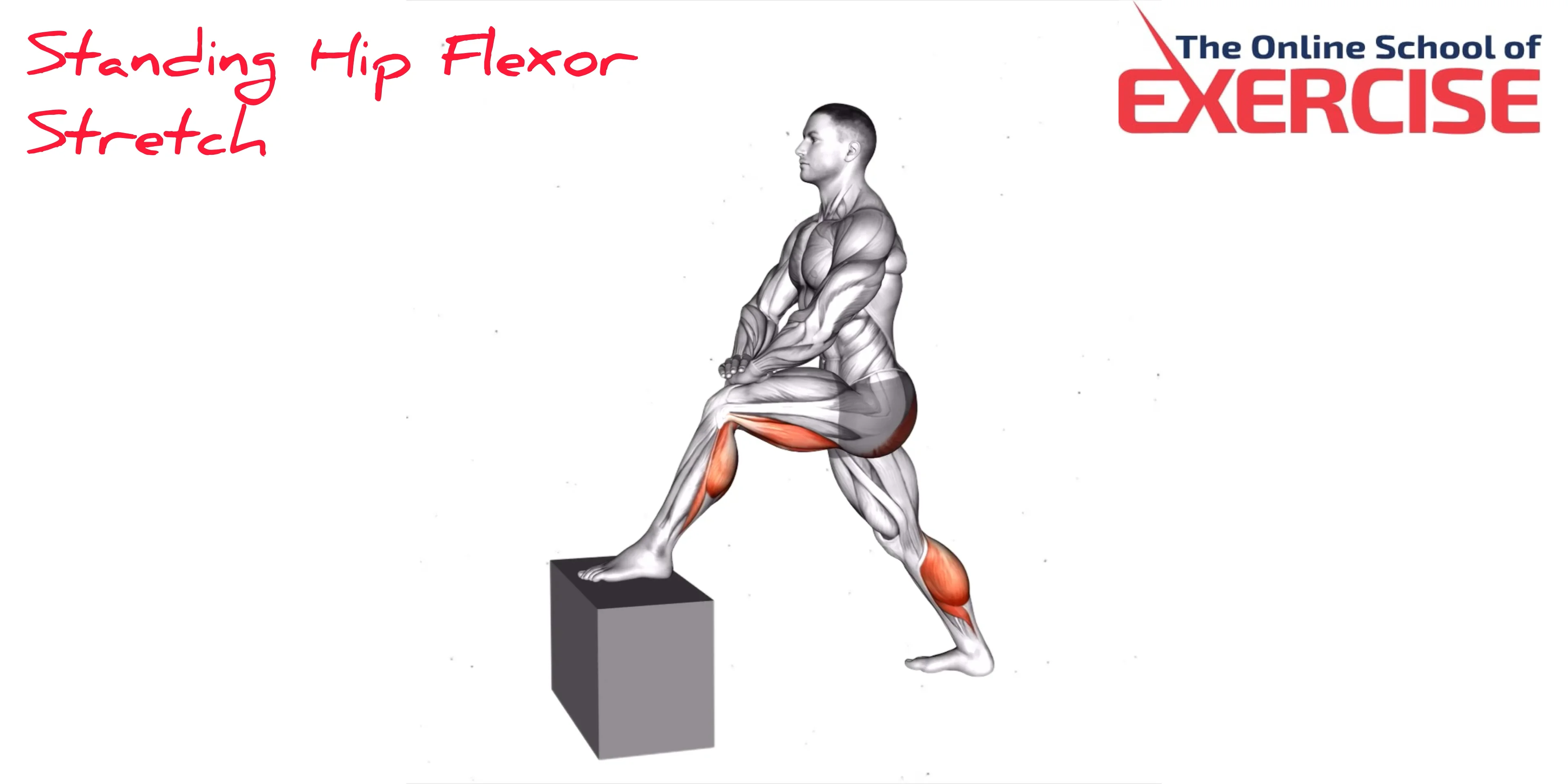 Standing Hip Flexor Stretch on Vimeo
