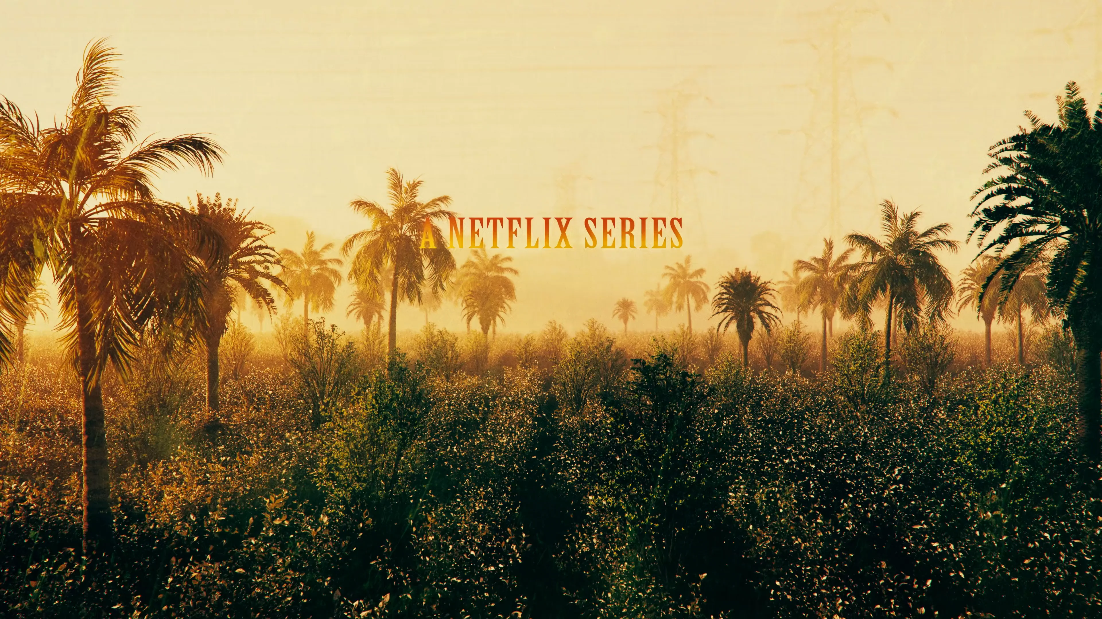 The Accidental Narco, Narco-Saints Opening Sequence on Vimeo