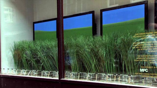 Interactive shop window - Urban Prairie on Vimeo