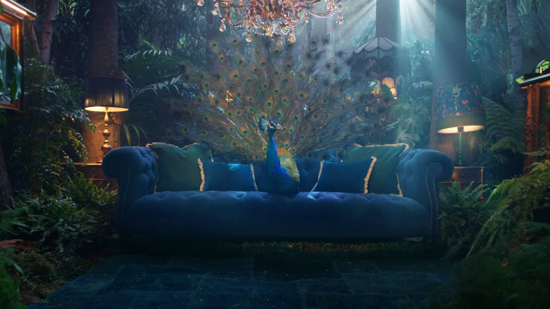 DFS | Animal Thingdom on Vimeo