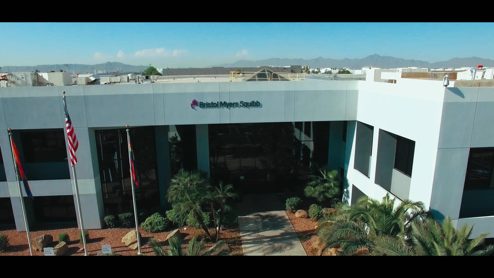 BMS Final_New Beginings Video_townHall on Vimeo