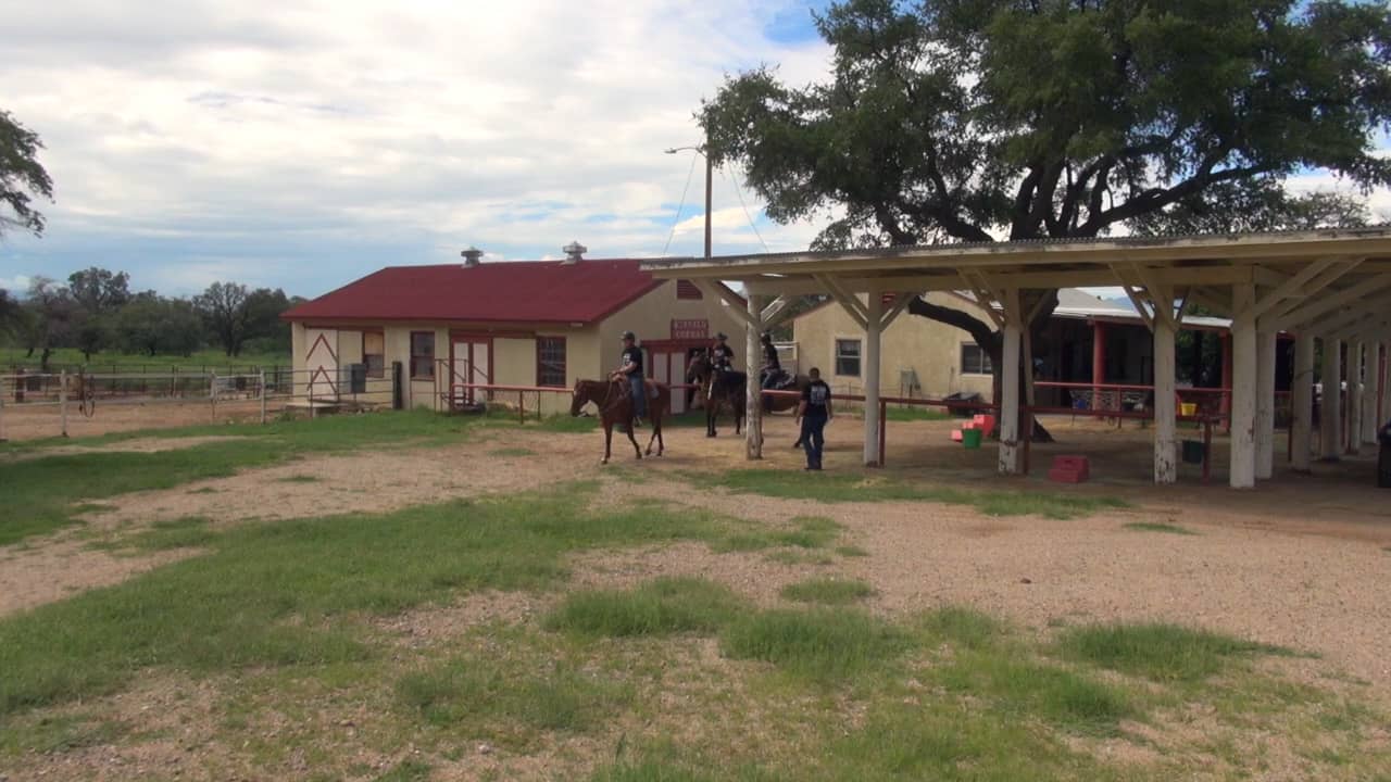 Buffalo Corral Safety Video on Vimeo