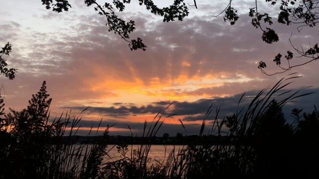 Sunset Beach Peterborough - Free video on Pixabay