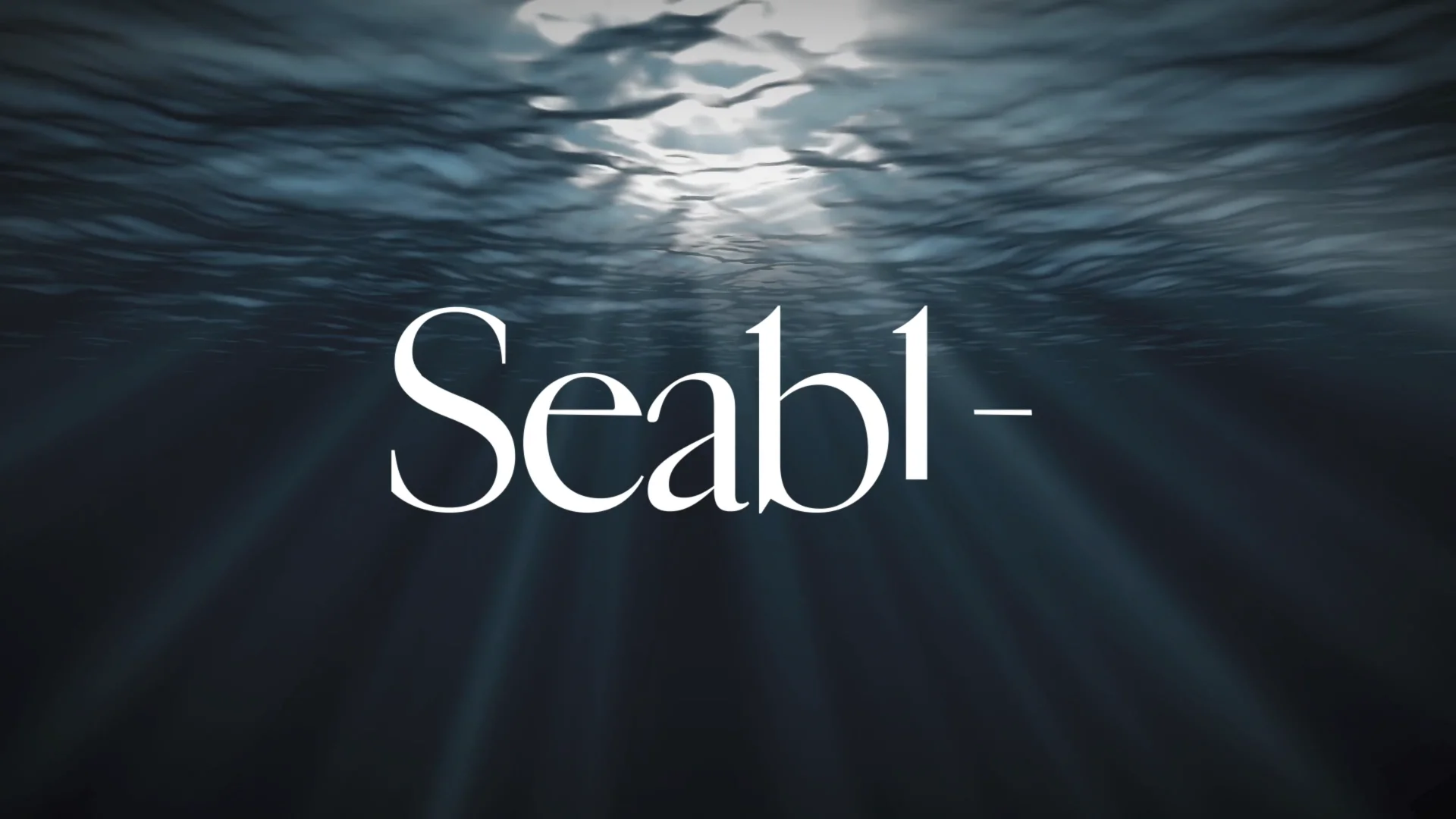 Seable&Co. Brand Movie on Vimeo