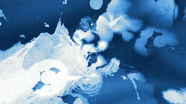 300+ Free Intro & Youtube Videos, HD & 4K Clips - Pixabay