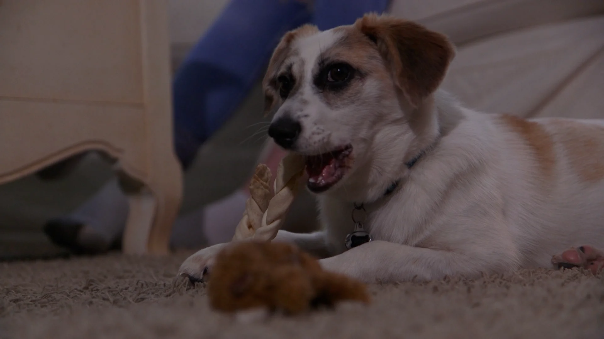 HSMO_Broll.mp4 on Vimeo