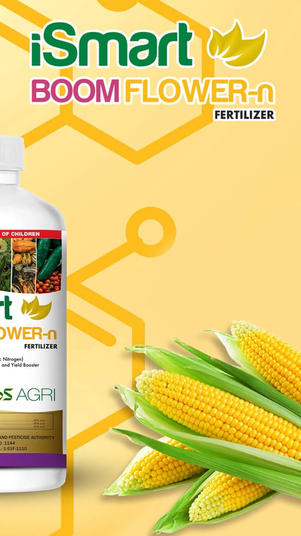 iSmart Boom Flower on Vimeo