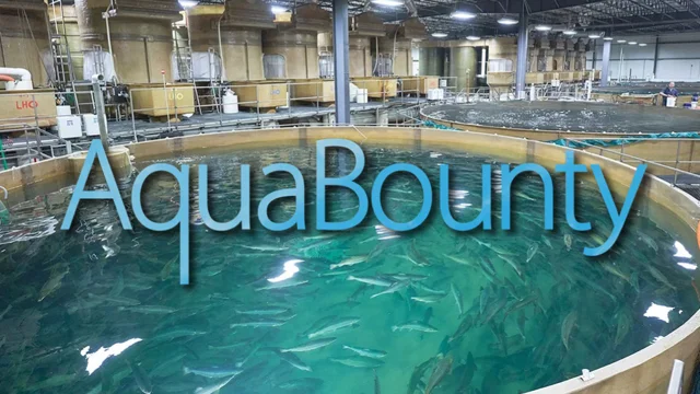 Aquabounty
