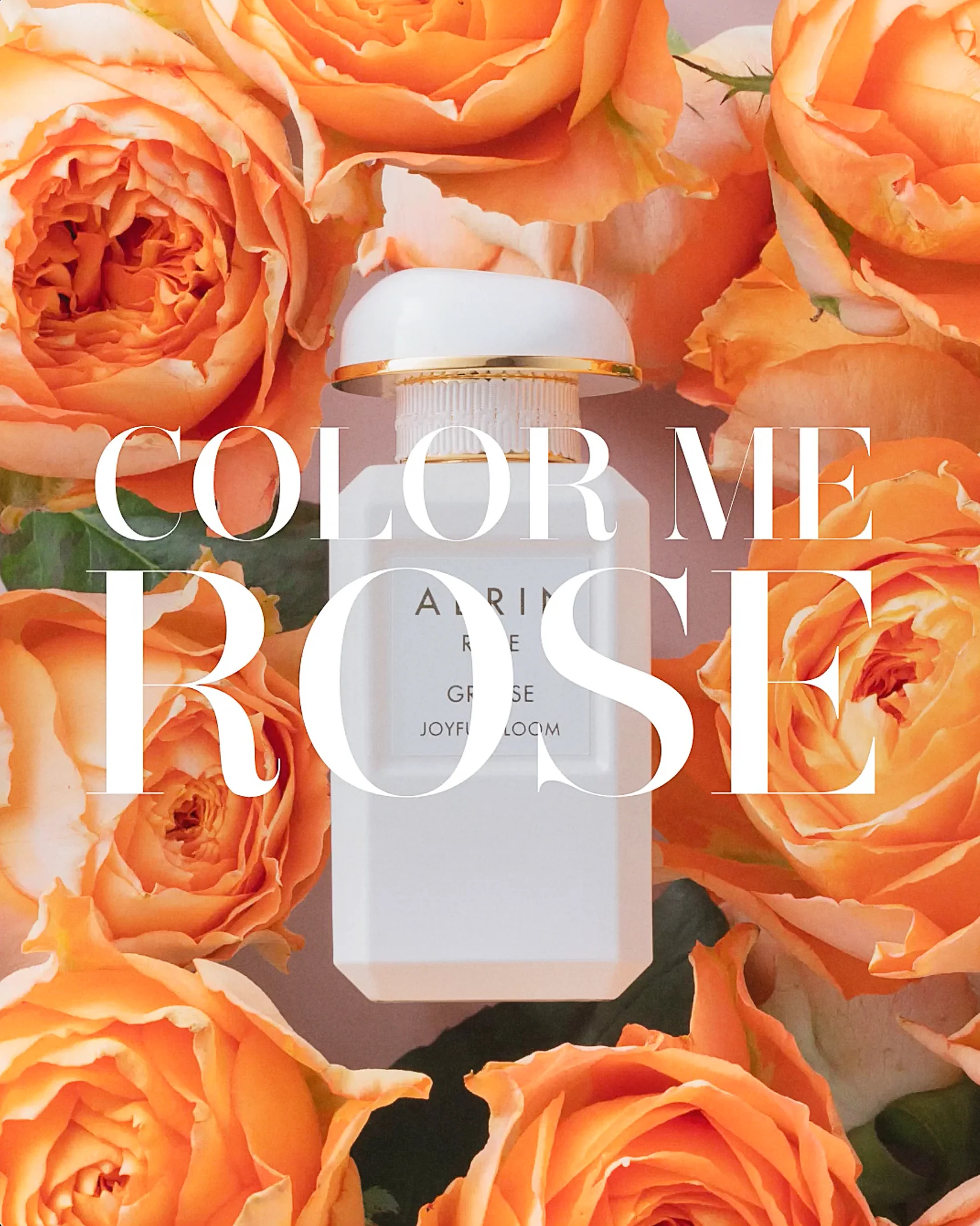 Aerin - Color Me Rose on Vimeo