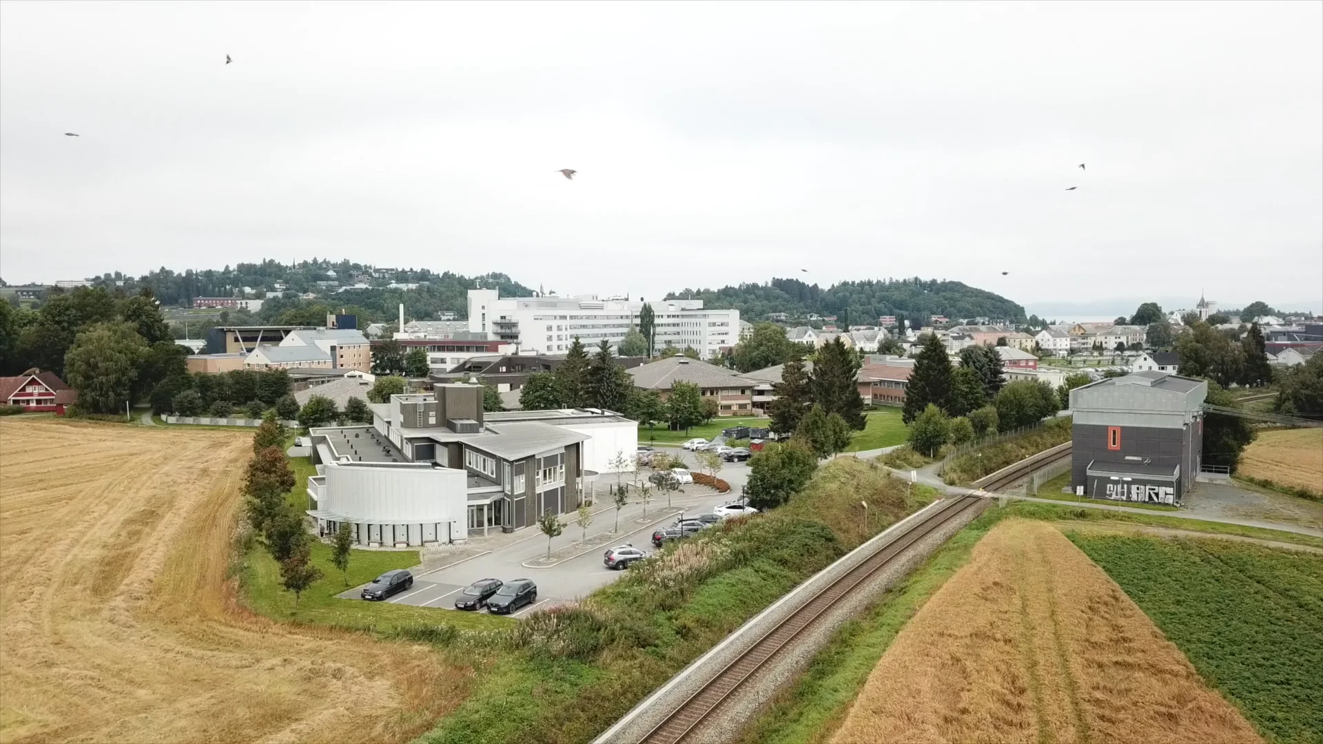 Musikkbasert miljøbehandling, Vegard Rangul