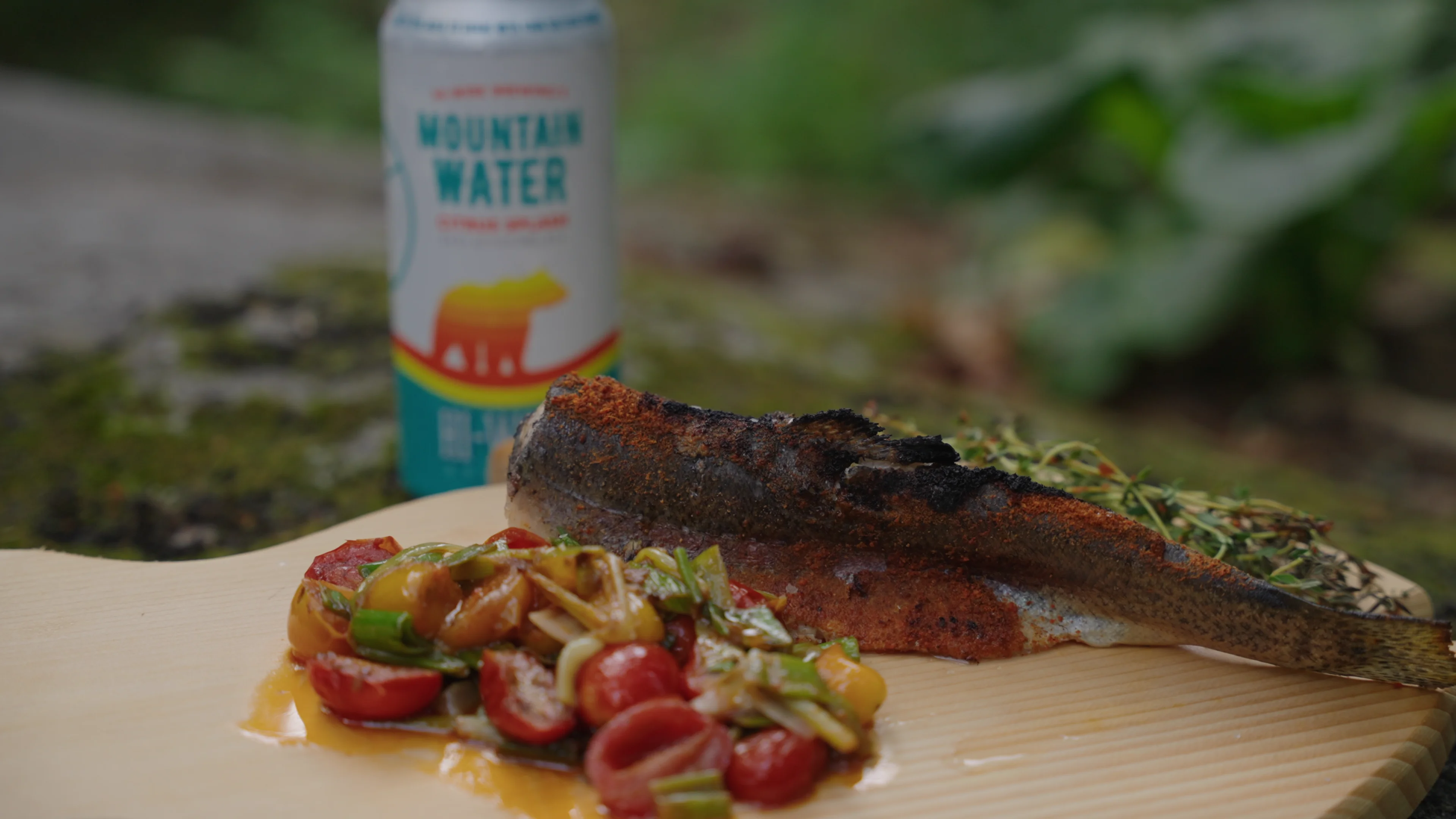 Tellico River Trout Fishing on Vimeo