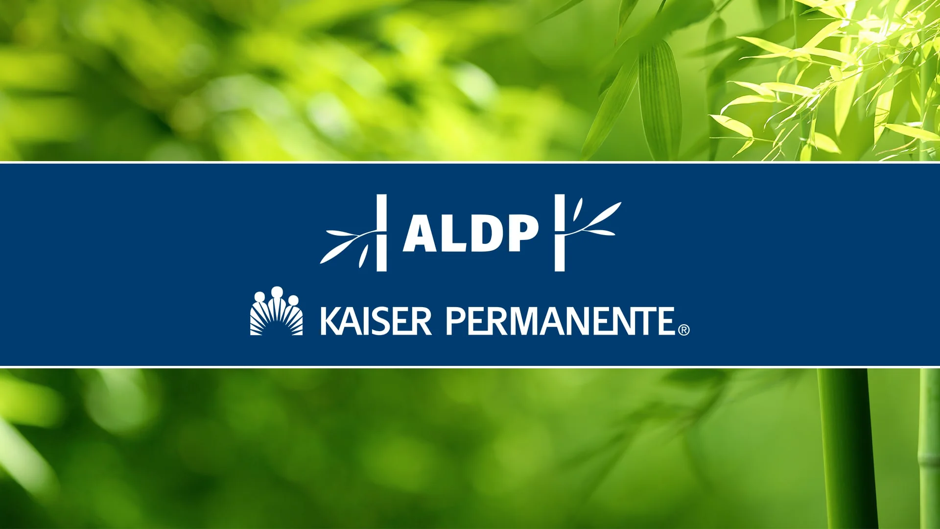 ALDP STREAM TEST on Vimeo