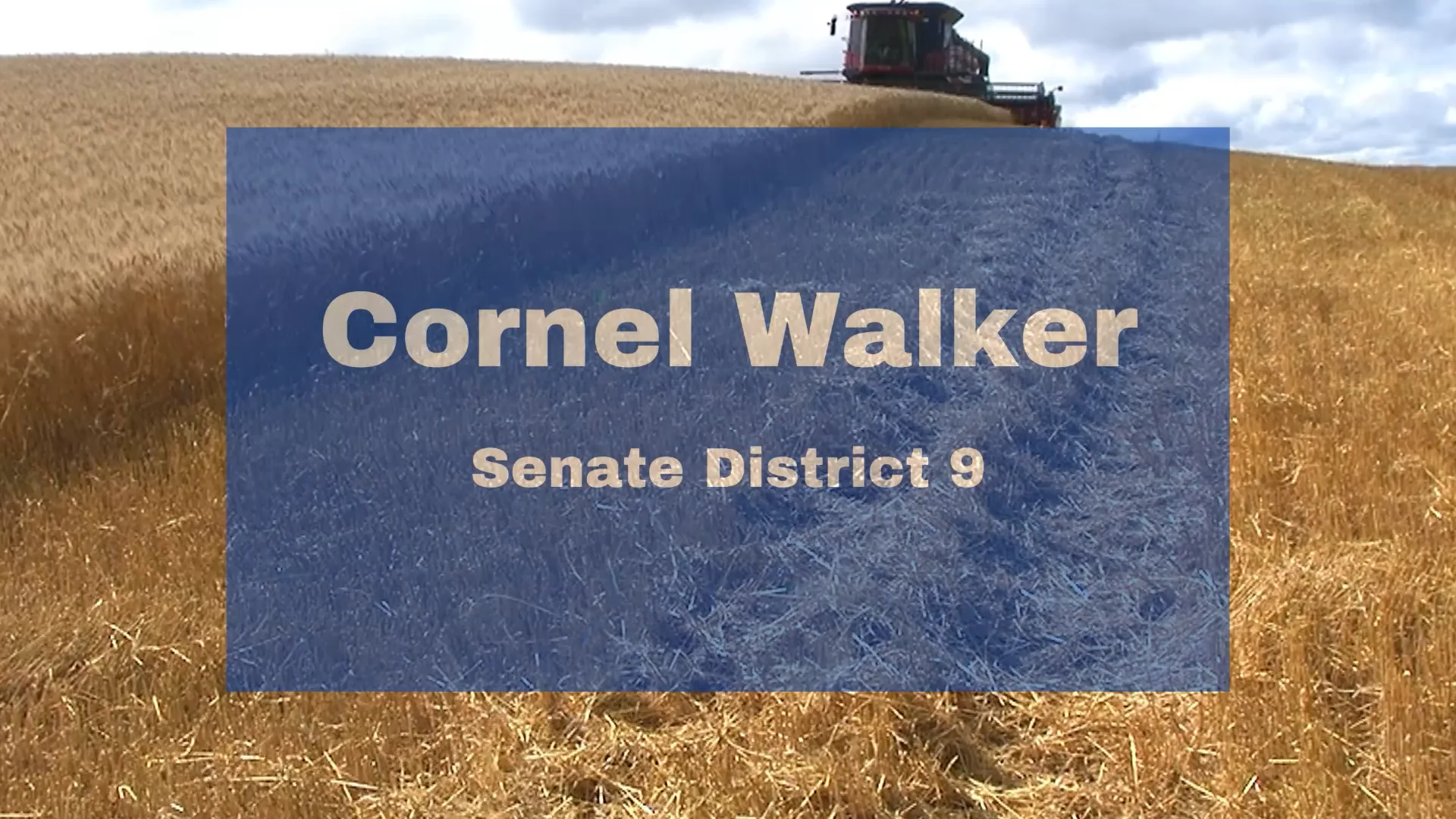Cornel Walker State Senate Candidate on Vimeo
