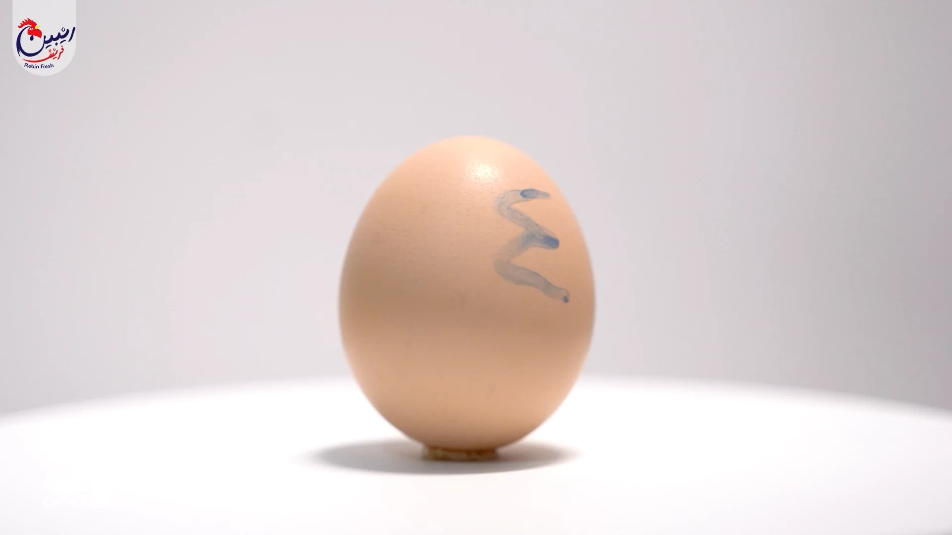 rebin fresh on Vimeo