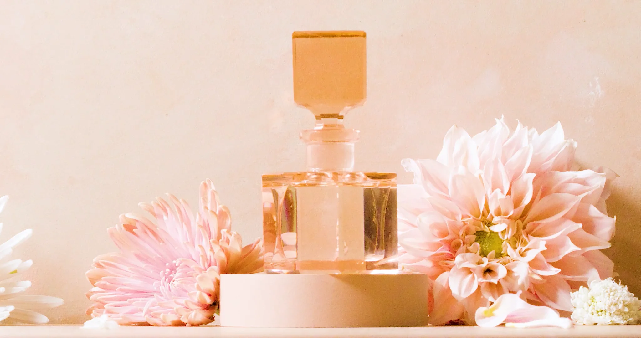 Botanical Beauty / Personal Project / Director Jennifer Davick on Vimeo