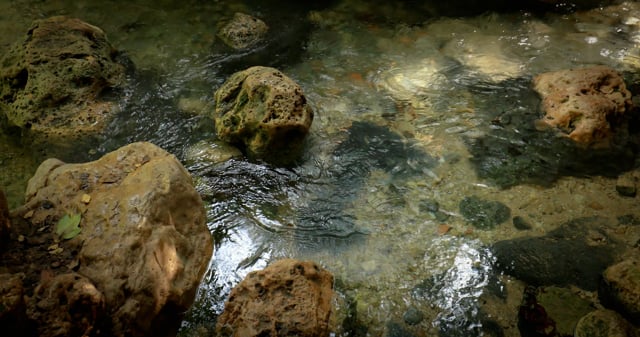 River, Rocks, Water. Free Stock Video - Pixabay