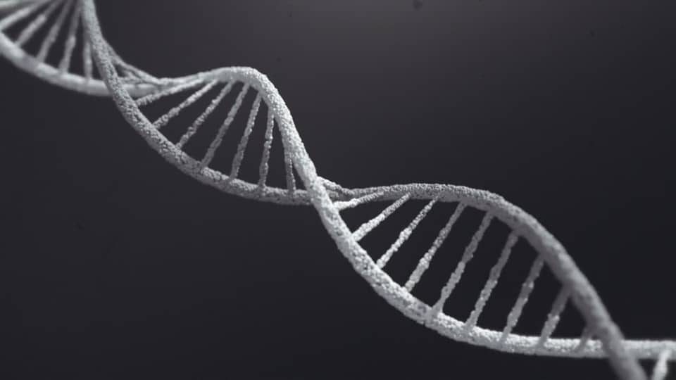 DNA on Vimeo