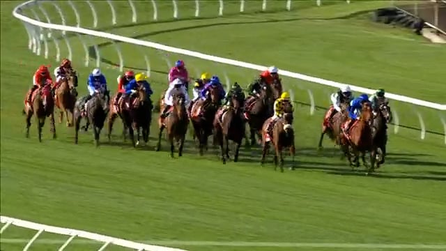 I Am Invincible - Stallion | Breednet