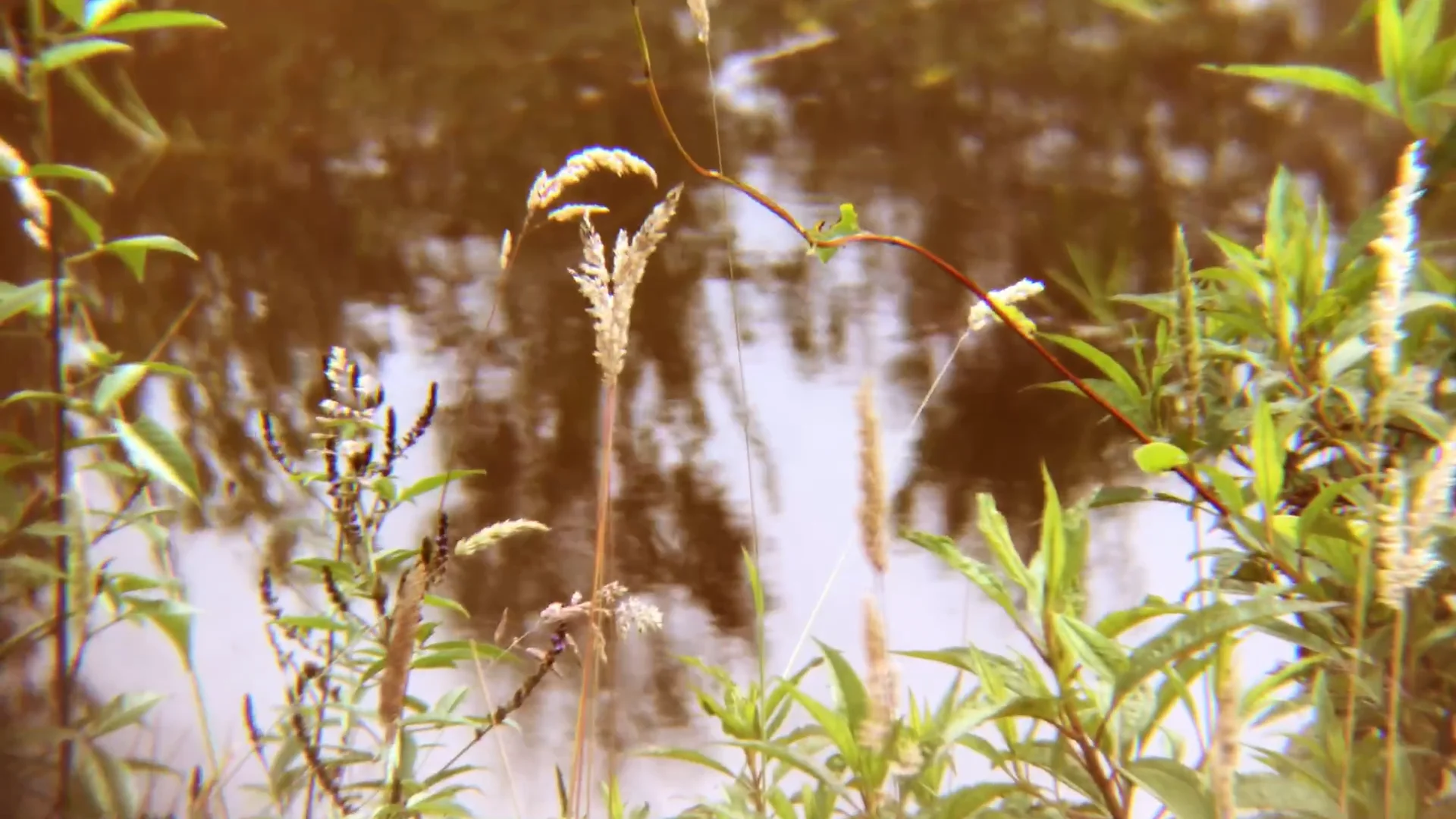 Untitled on Vimeo