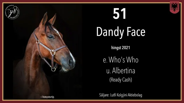 51 Dandy Face on Vimeo