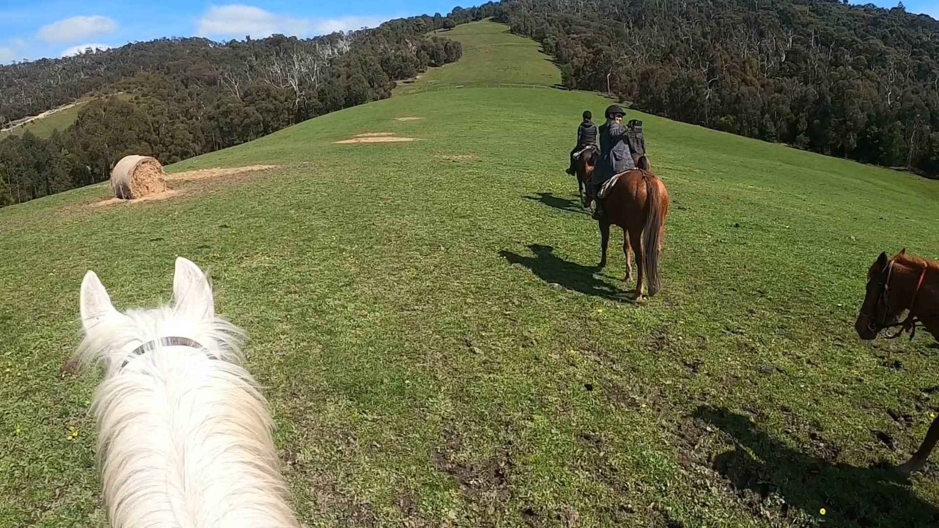 Ruby’s Chum Creek Adventure on Vimeo