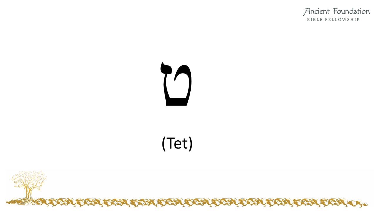 Learn The Hebrew Alphabet Tet (Part 10) on Vimeo