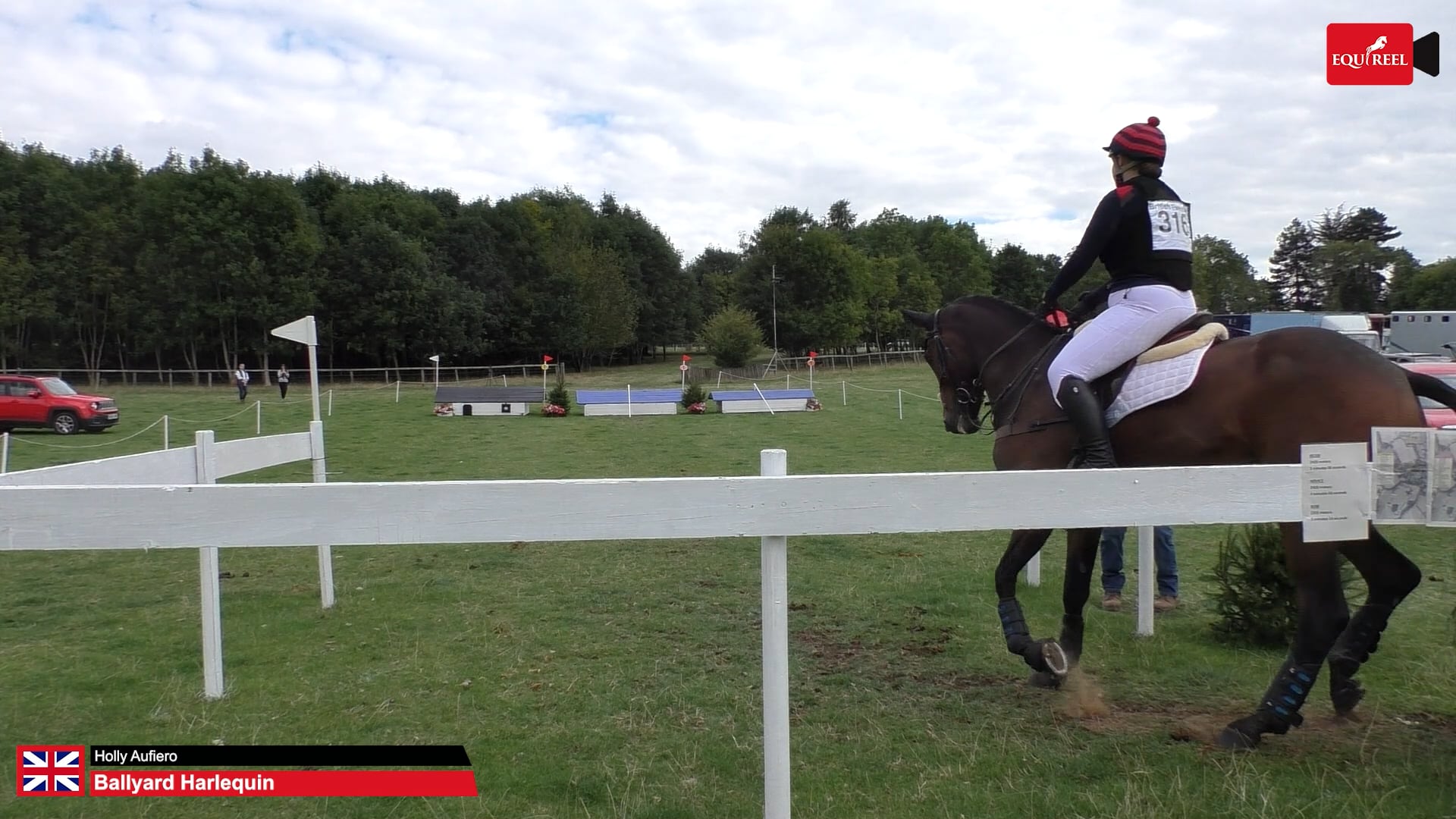 EQUIREEL 316 Holly Aufiero & Ballyard Harlequin at MORETON MORRELL (2 ...