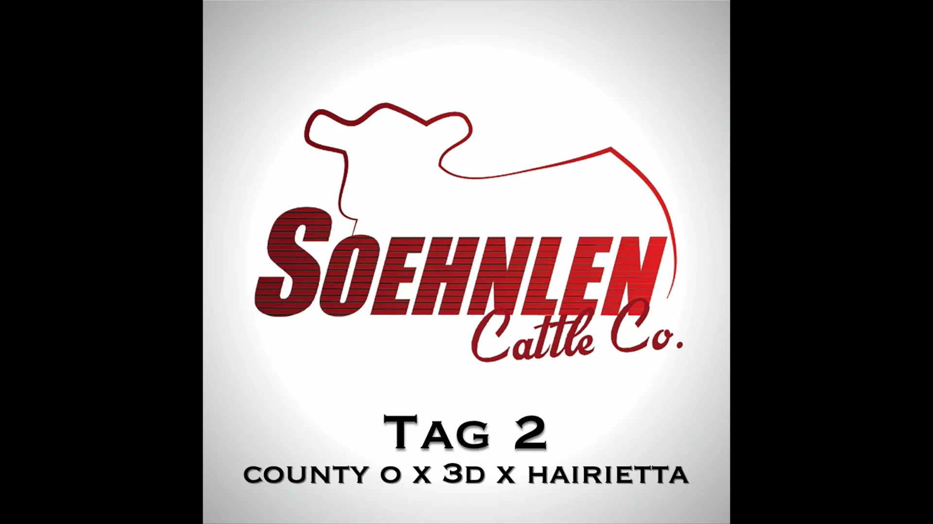 Soehnlen Tag 2 on Vimeo