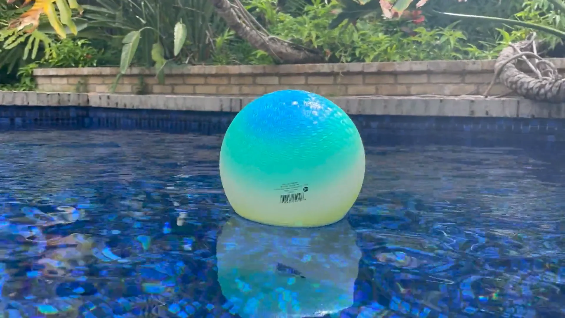 'Summer Pool' 2022.mp4 on Vimeo