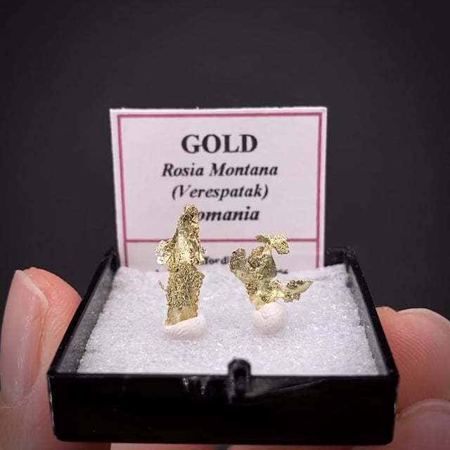 Gold (2 specimens) - FTN22-71 - Roșia Montană - Romania Mineral Specimen
