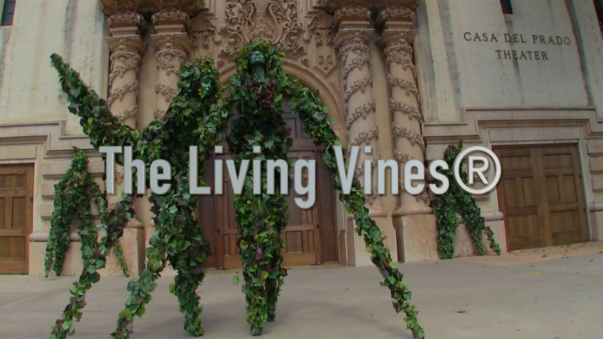 The Original Living Vines - Collage.mov on Vimeo