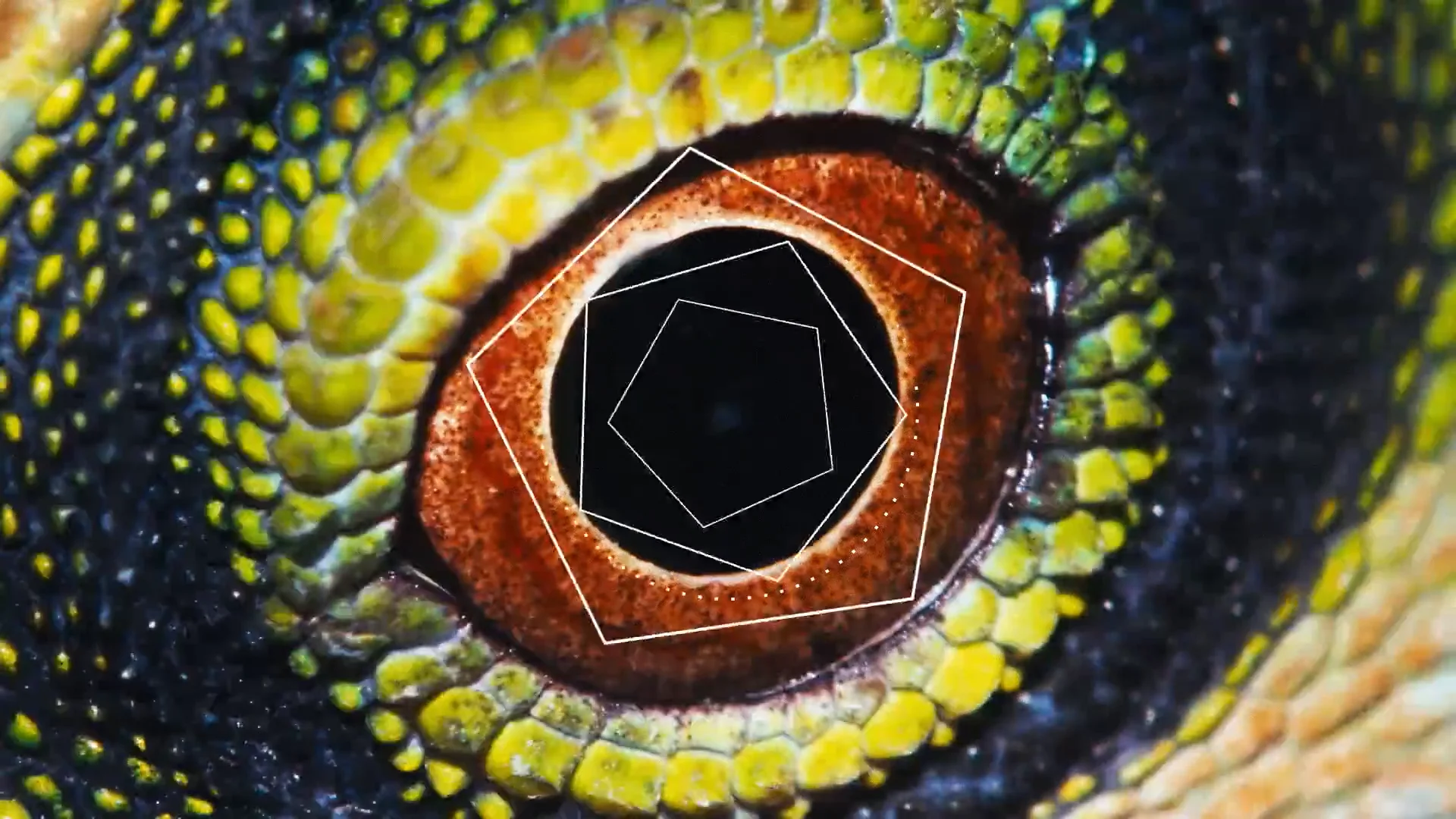 Documentary film examples: Evolve - The Institute Of Noetic Sciences ...