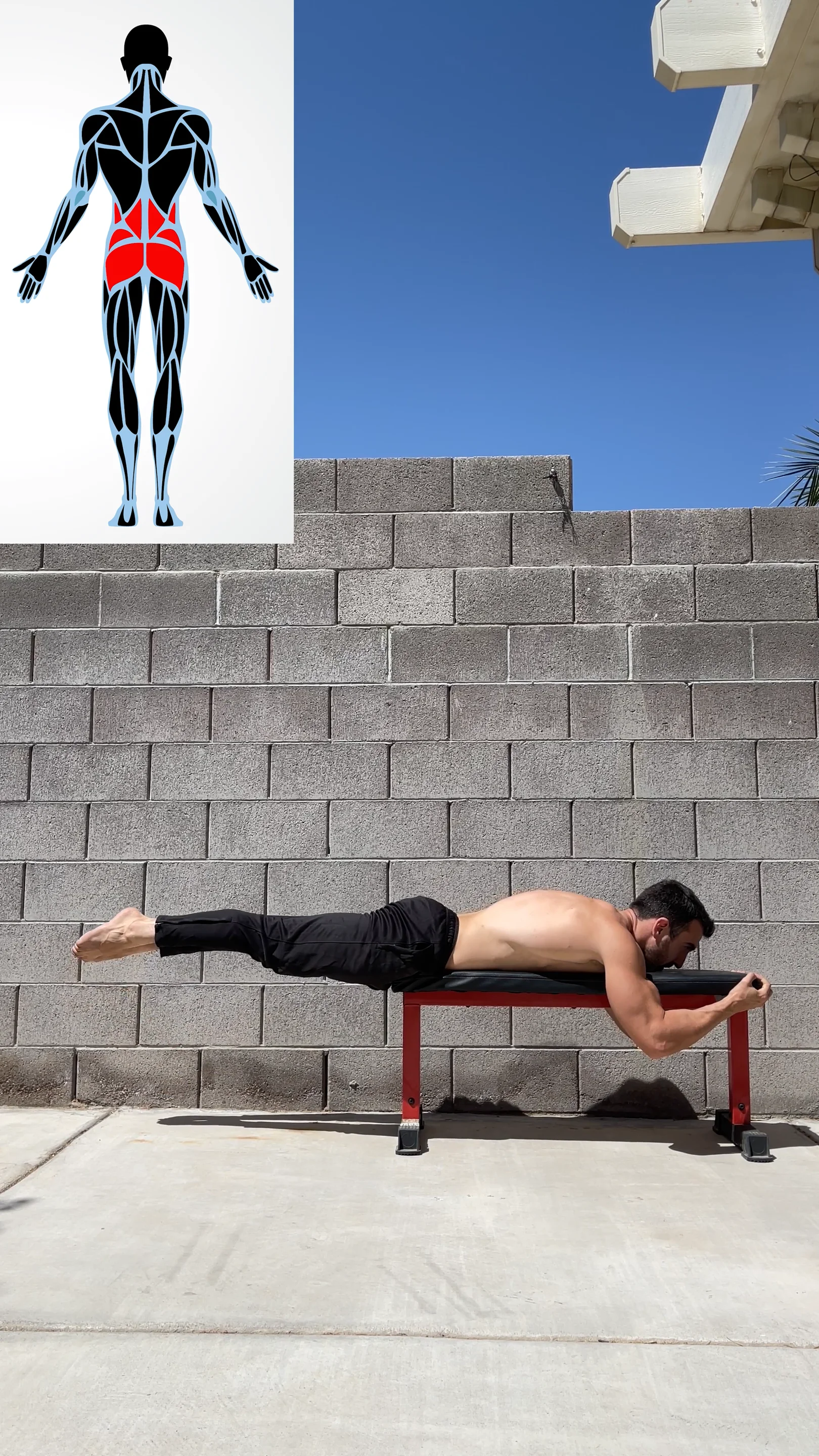 Reverse Hypers Tutorial on Vimeo