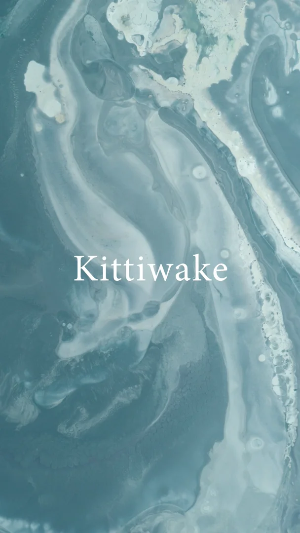 Kittiwake — Farrow & Ball on Vimeo