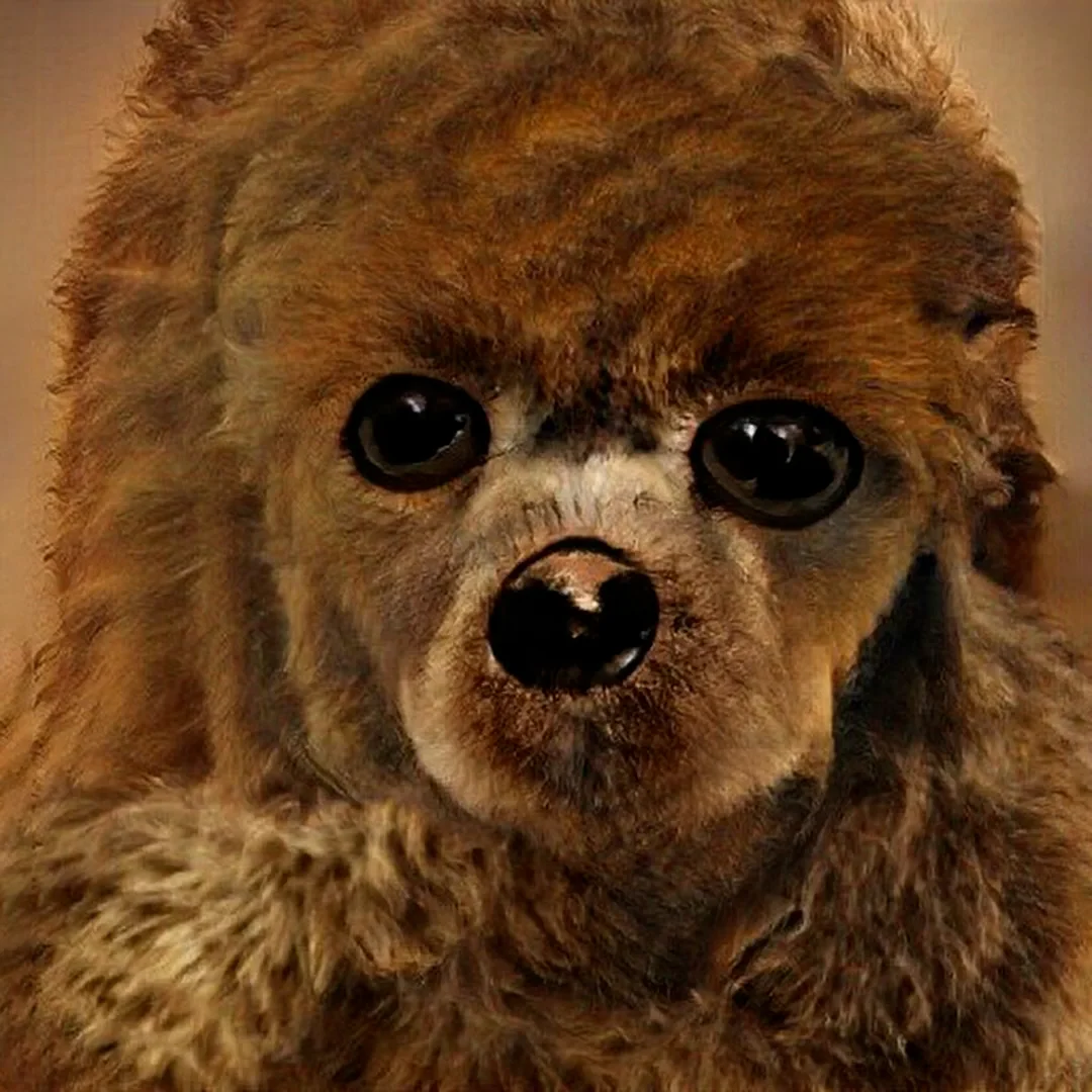 Teddy. on Vimeo