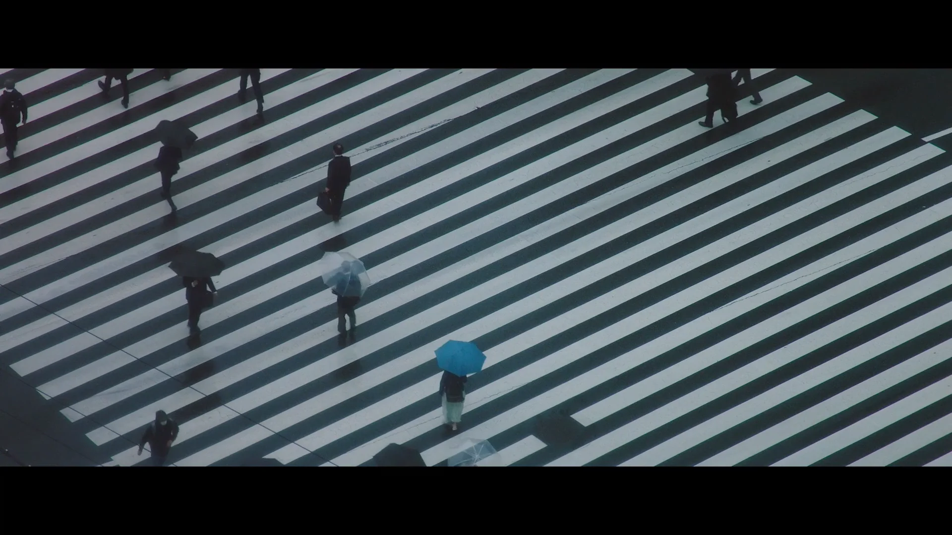 Finding Satoshi (Trailer) on Vimeo