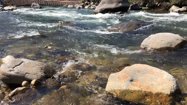 River Stream Flow - Free video on Pixabay