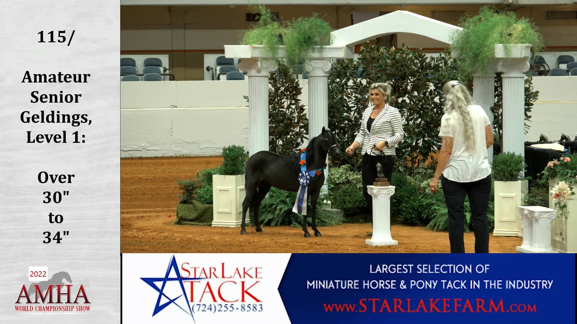 AMHA 2022 LIVE on Vimeo