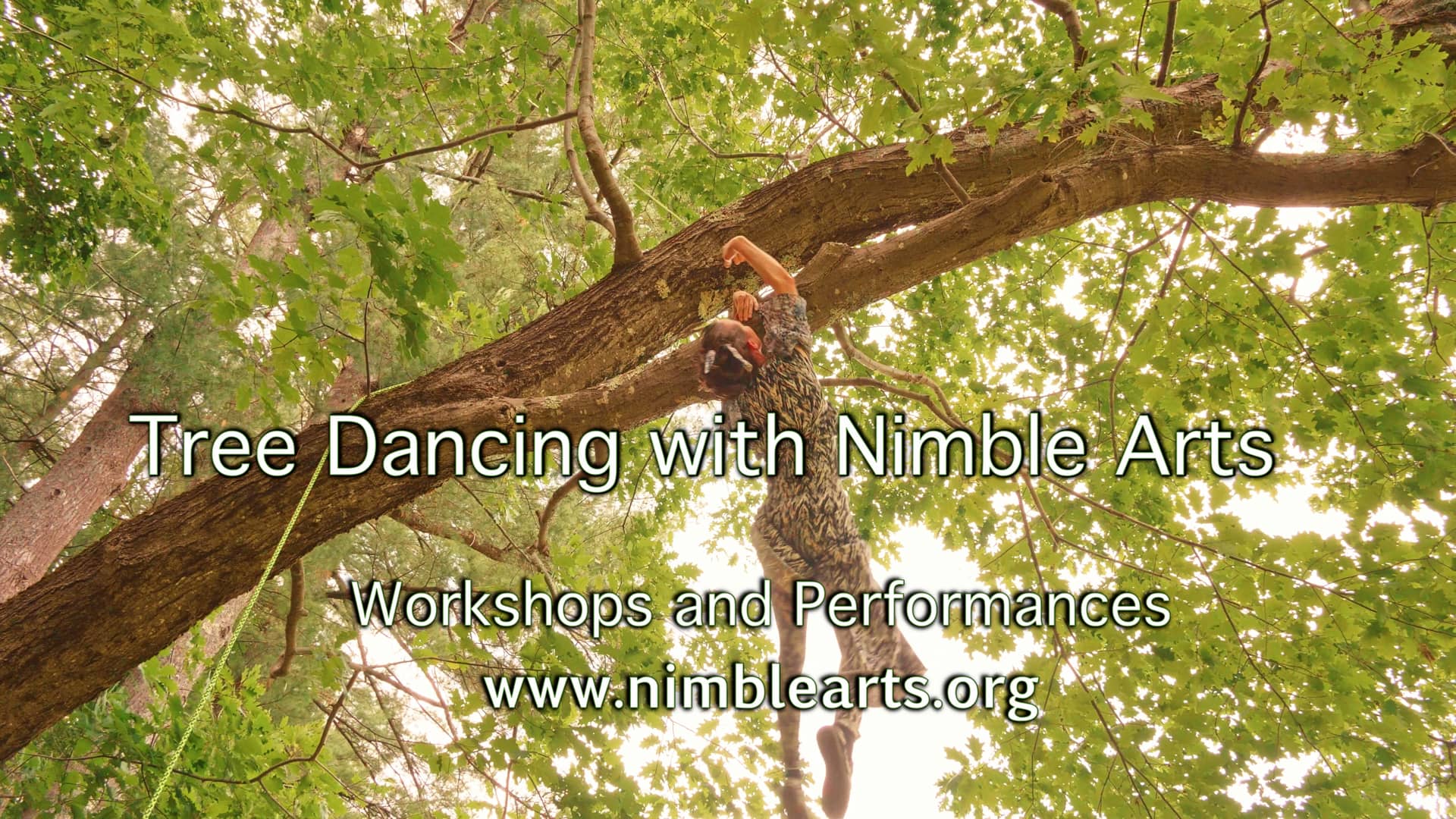 Tree Dancing Workshop Info Short on Vimeo