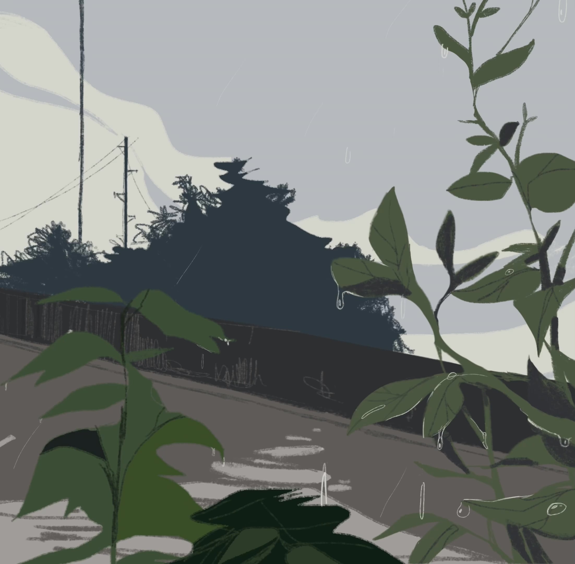 animated time capsule on Vimeo